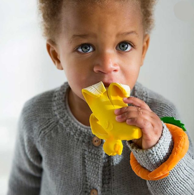 12 Fruit Teethers to Motivate your Little One to Eat Healthily