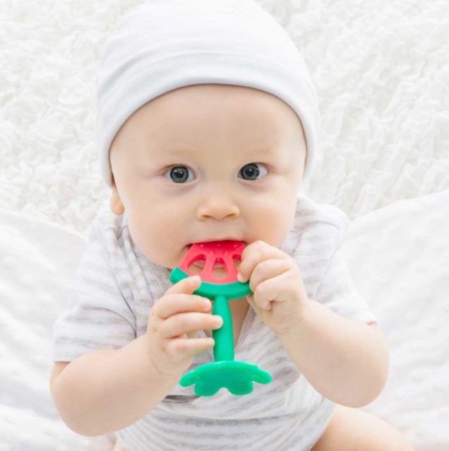 12 Fruit Teethers to Motivate your Little One to Eat Healthily
