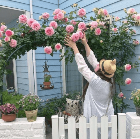 How To Beautifully Decorate Every Room With Shabby Chic Aesthetic - The ...