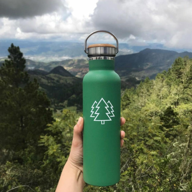 Amazing Gift Ideas for Nature and Tree Lovers