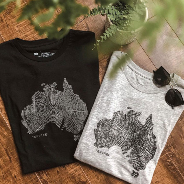 Amazing Gift Ideas for Nature and Tree Lovers - The Mood Guide