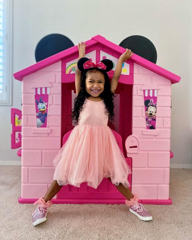The Best Playhouse(s) for Girls & The Cutest Instagram Makeover Ideas