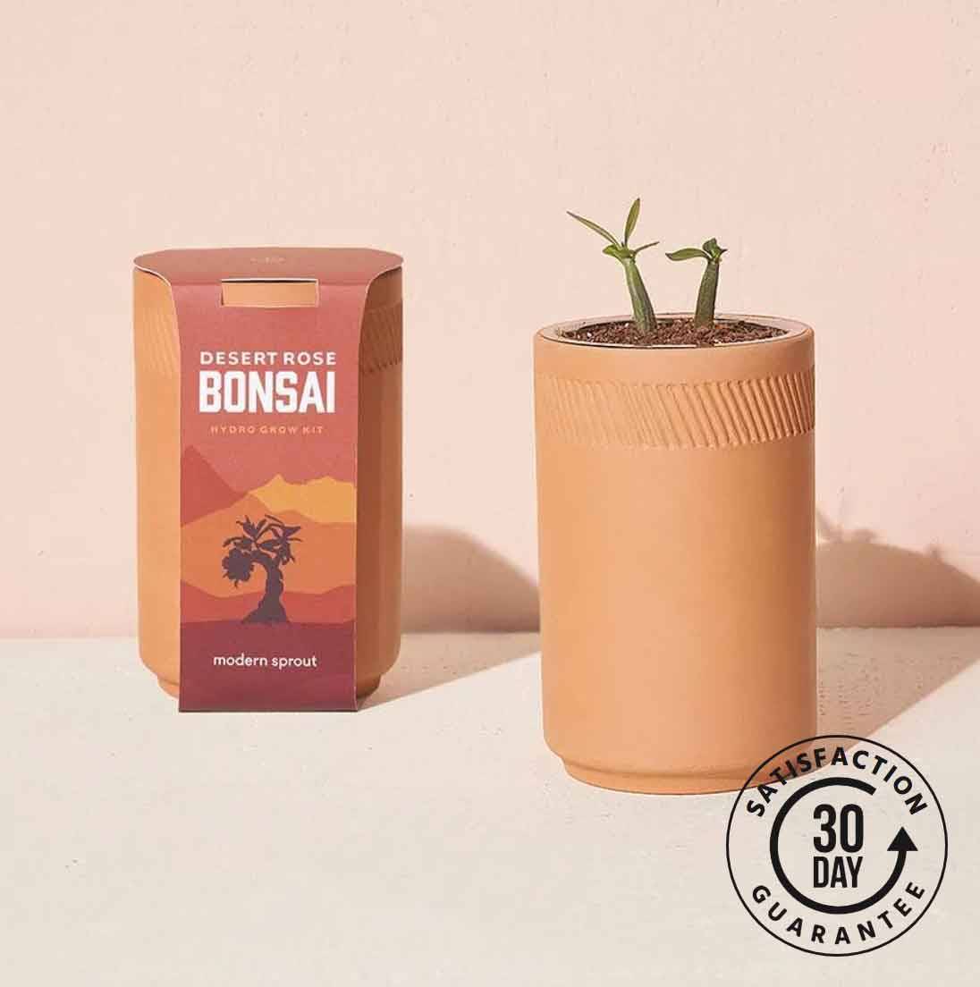 Amazing Gift Ideas for Nature and Tree Lovers - The Mood Guide