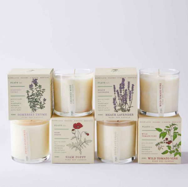 Amazing Gift Ideas for Nature and Tree Lovers - The Mood Guide