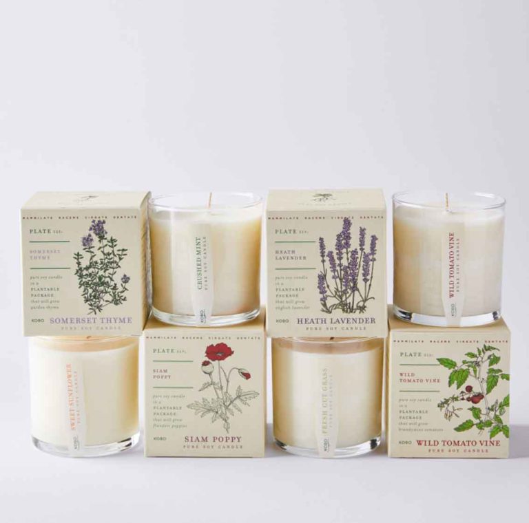 Amazing Gift Ideas for Nature and Tree Lovers - The Mood Guide