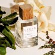 Nature-Inspired Perfumes That Are A Soothing Trip To The Woods - The ...