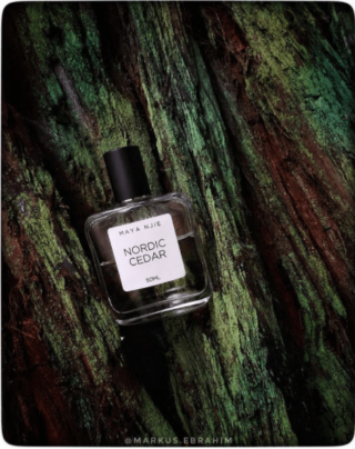 Nature-Inspired Perfumes That Are A Soothing Trip To The Woods - The ...