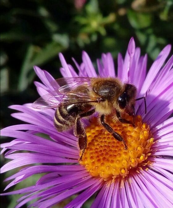 Spring: A Thoughtful Guide For The Equinox, From Cleaning To Quotes ...