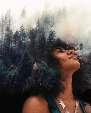 Powerful Forest Aesthetic Inspiration To Connect You With Mother Nature ...