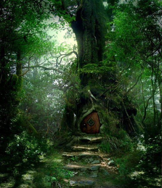 Powerful Forest Aesthetic Inspiration To Connect You With Mother Nature ...