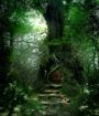 Powerful Forest Aesthetic Inspiration To Connect You With Mother Nature ...