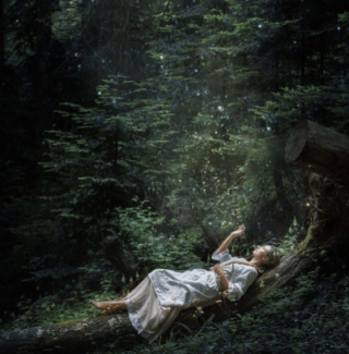 Powerful Forest Aesthetic Inspiration To Connect You With Mother Nature