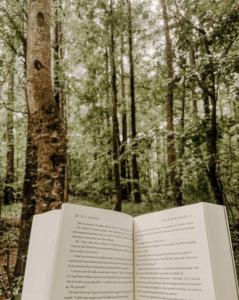 Powerful Forest Aesthetic Inspiration To Connect You With Mother Nature ...