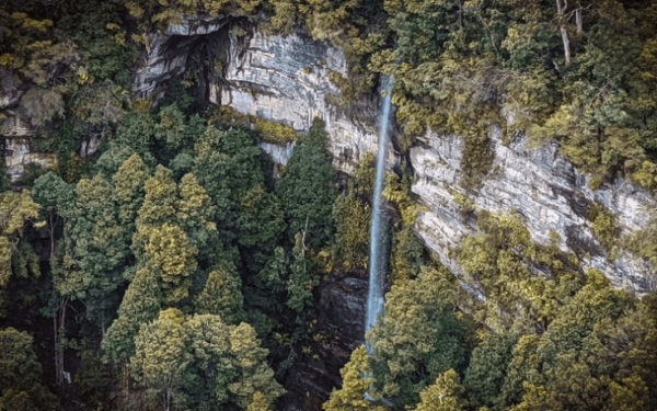 Powerful Forest Aesthetic Inspiration To Connect You With Mother Nature ...