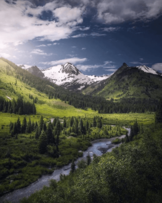 Powerful Forest Aesthetic Inspiration To Connect You With Mother Nature ...