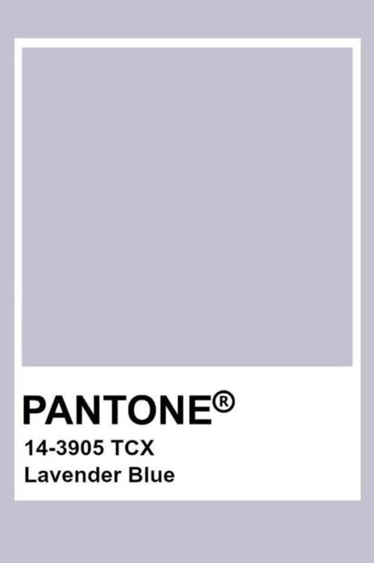 Evoking the Lilac Lavender Aesthetic & Meaning to your Life - The Mood ...
