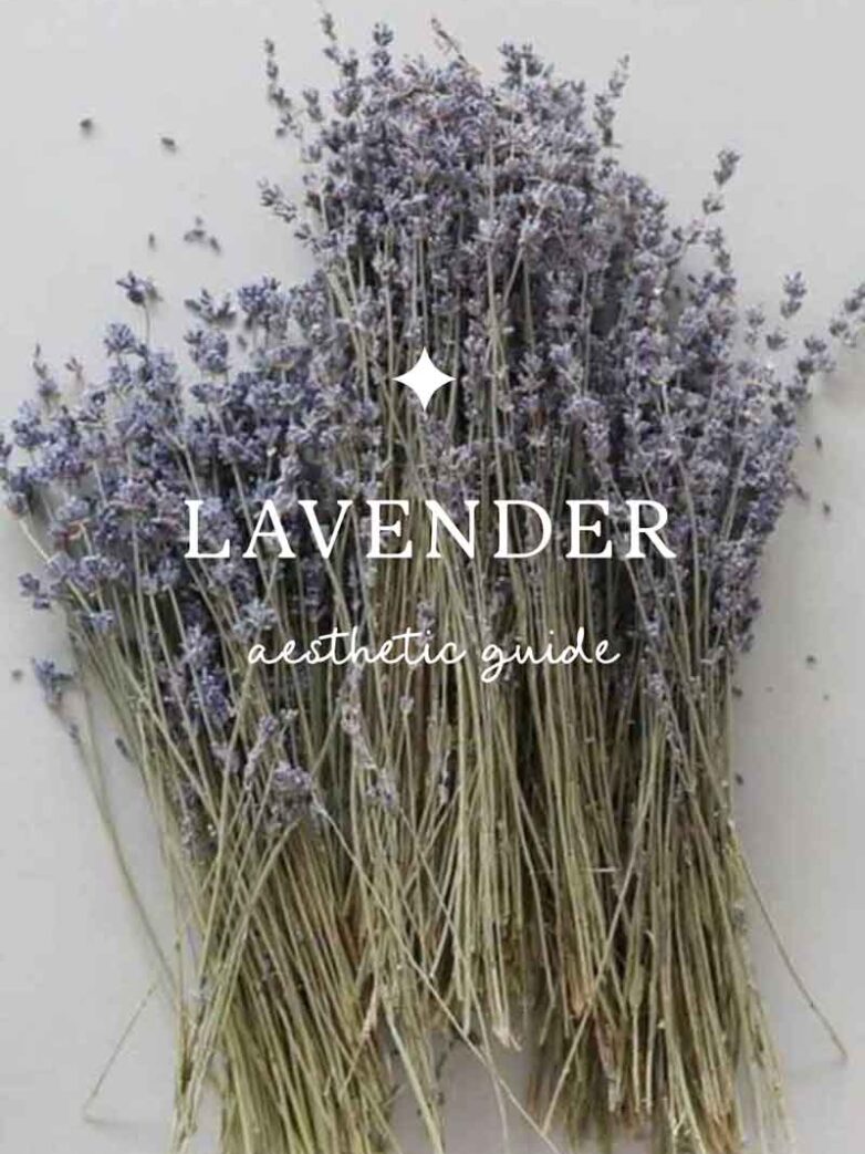 Lavender Aesthetic Archives - The Mood Guide