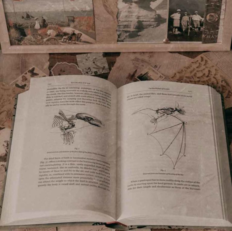 The Ultimate Guide for Light Academia Aesthetic (Outfits, Room Ideas ...