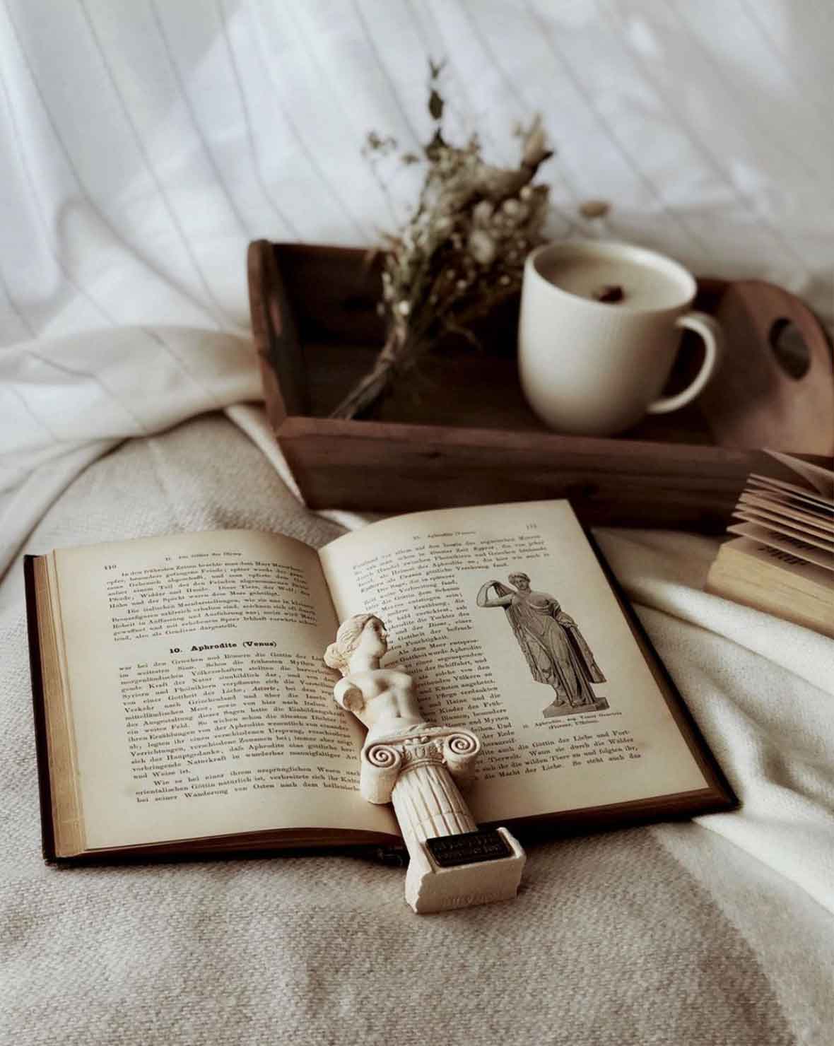 The Ultimate Guide for Light Academia Aesthetic (Outfits, Room Ideas ...