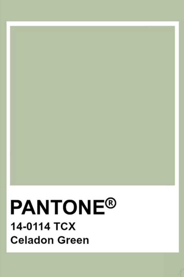 How to Embrace the Sage Green Aesthetic for Living Well & Chic - The ...