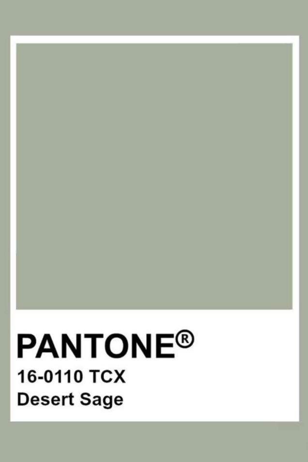How to Embrace the Sage Green Aesthetic for Living Well & Chic - The ...