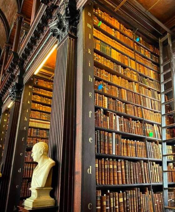 Book Aesthetics To Enlight Your Bookworm Self - The Mood Guide