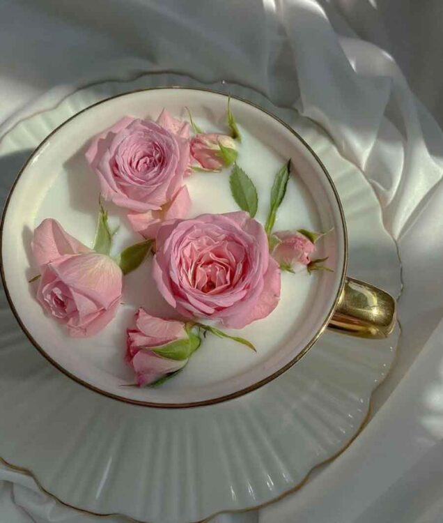 Rose Aesthetic Guide - The Mood Guide