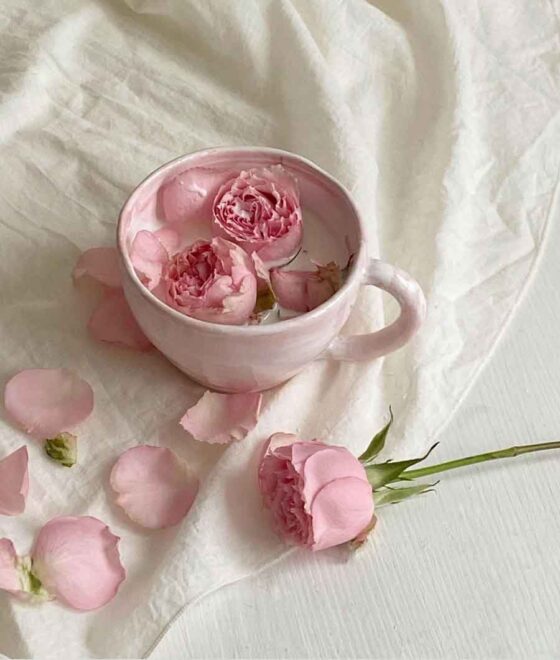 Rose Aesthetic Guide - The Mood Guide