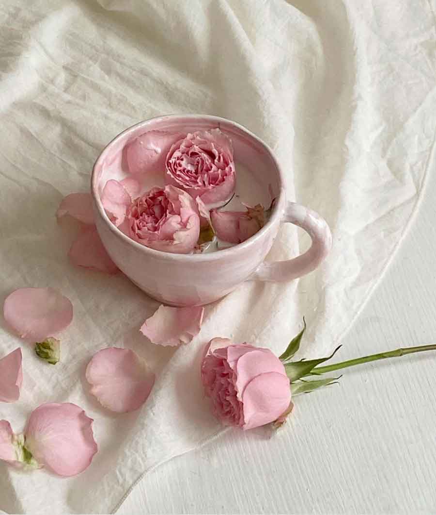 Rose Aesthetic Guide - The Mood Guide