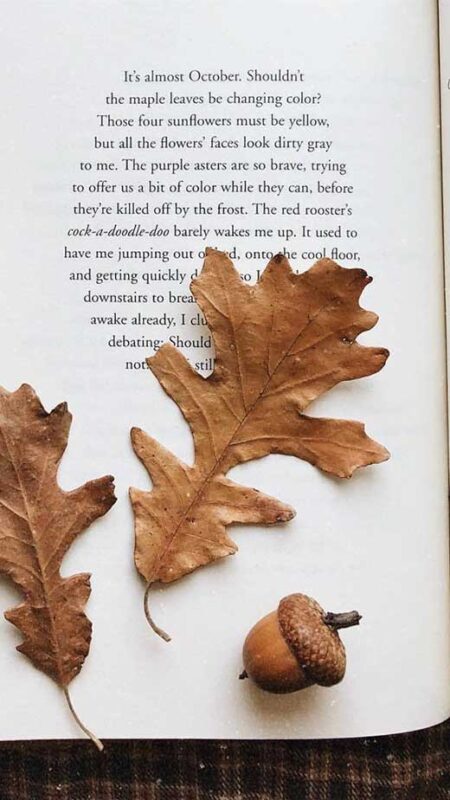 What is Aesthetic? The Ultimate List of Aesthetics and their Meanings ...