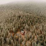 The Coziest Cabincore Guide to Scape into the Woods - The Mood Guide