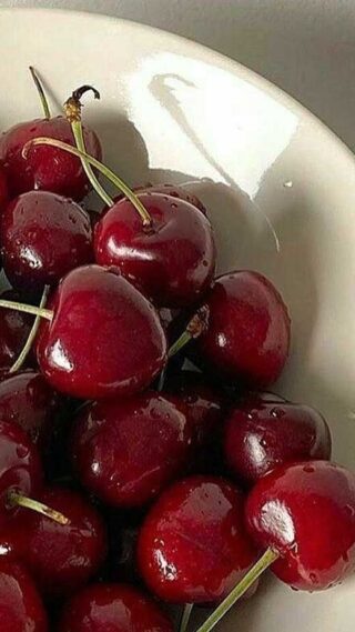 Red Aesthetic Wallpaper Ideas for your iPhone - The Mood Guide