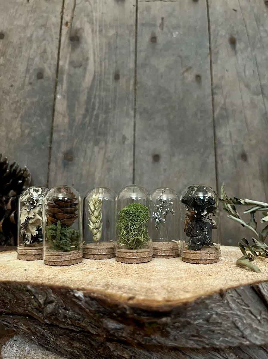 Witch Gifts for all Types of witches - The Mood Guide