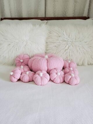 Pink Fall Decorations To Create The Coziest Girly Aesthetic In Your ...