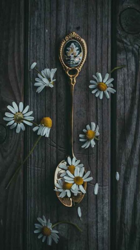 60+ Ideas of Aesthetic Floral Wallpaper for iPhone - The Mood Guide