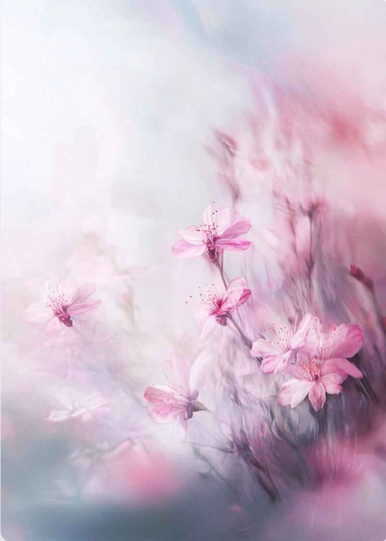 65 Spring Aesthetic Images That Will Lift Your Mood