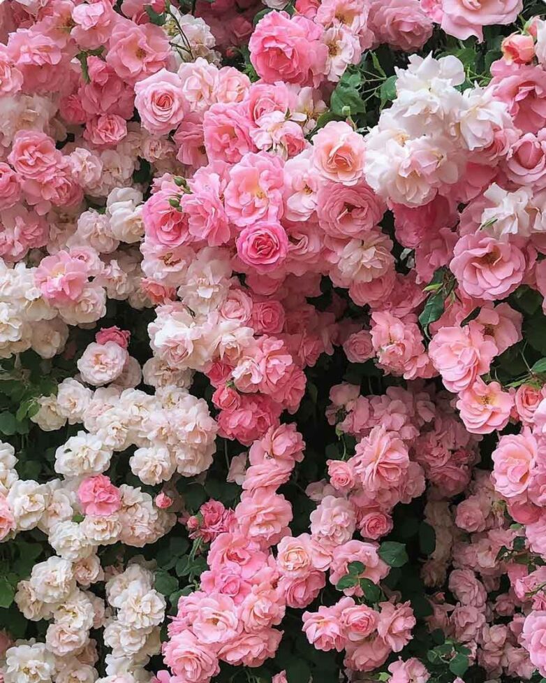 65 Spring Aesthetic Images That Will Lift Your Mood - The Mood Guide