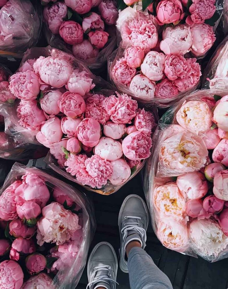 65 Spring Aesthetic Images That Will Lift Your Mood