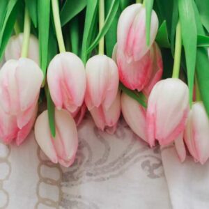 65 Spring Aesthetic Images That Will Lift Your Mood - The Mood Guide