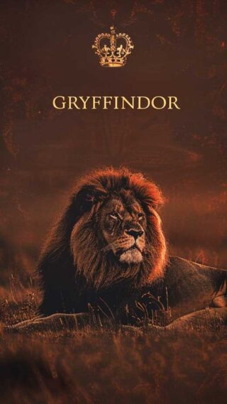 Aesthetic Gryffindor Wallpapers for The iPhone of The Brave Ones