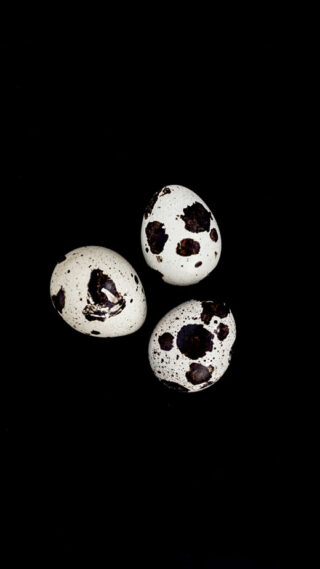 40+ Springy Easter Wallpapers for iPhone (Aesthetic & Free) - The Mood ...