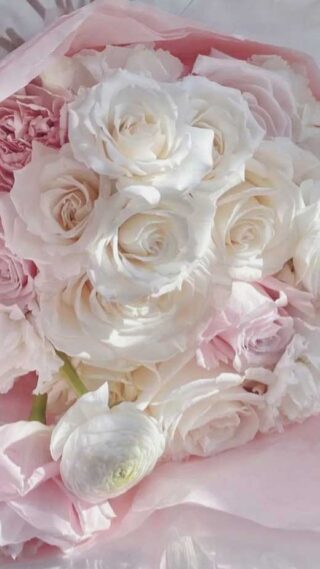 Coquette Wallpaper & Background Ideas for iPhone - The Mood Guide