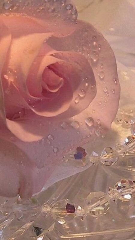 Coquette Wallpaper & Background Ideas for iPhone - The Mood Guide