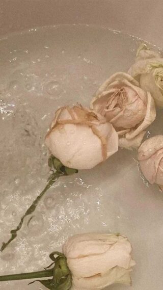 Coquette Wallpaper & Background Ideas for iPhone - The Mood Guide