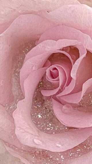 Coquette Wallpaper & Background Ideas for iPhone - The Mood Guide