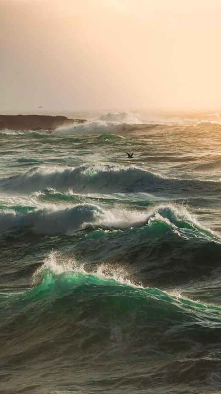 50+ Nature Wallpapers for iPhone - The Mood Guide