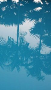 70+ Free Summer Wallpaper Ideas (Aesthetic, Cute, Tropical & More ...