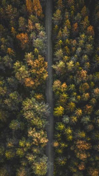 50+ Nature Wallpapers for iPhone - The Mood Guide