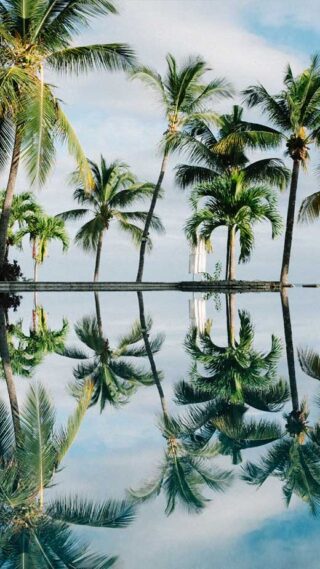 70+ Free Summer Wallpaper Ideas (Aesthetic, Cute, Tropical & More ...