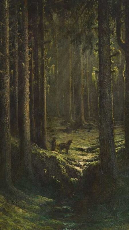 50+ Nature Wallpapers for iPhone - The Mood Guide